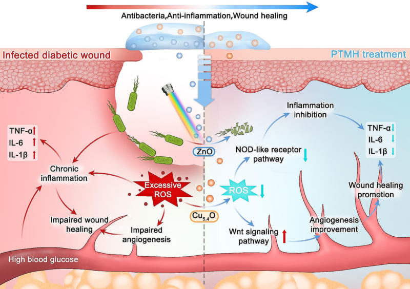 Homepage - BH Wound Care